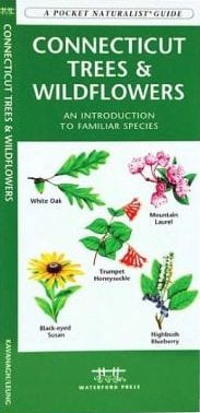 CTTrees&Wildflowers – Sunburst Books