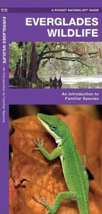 EvergladesWildlife – Sunburst Books