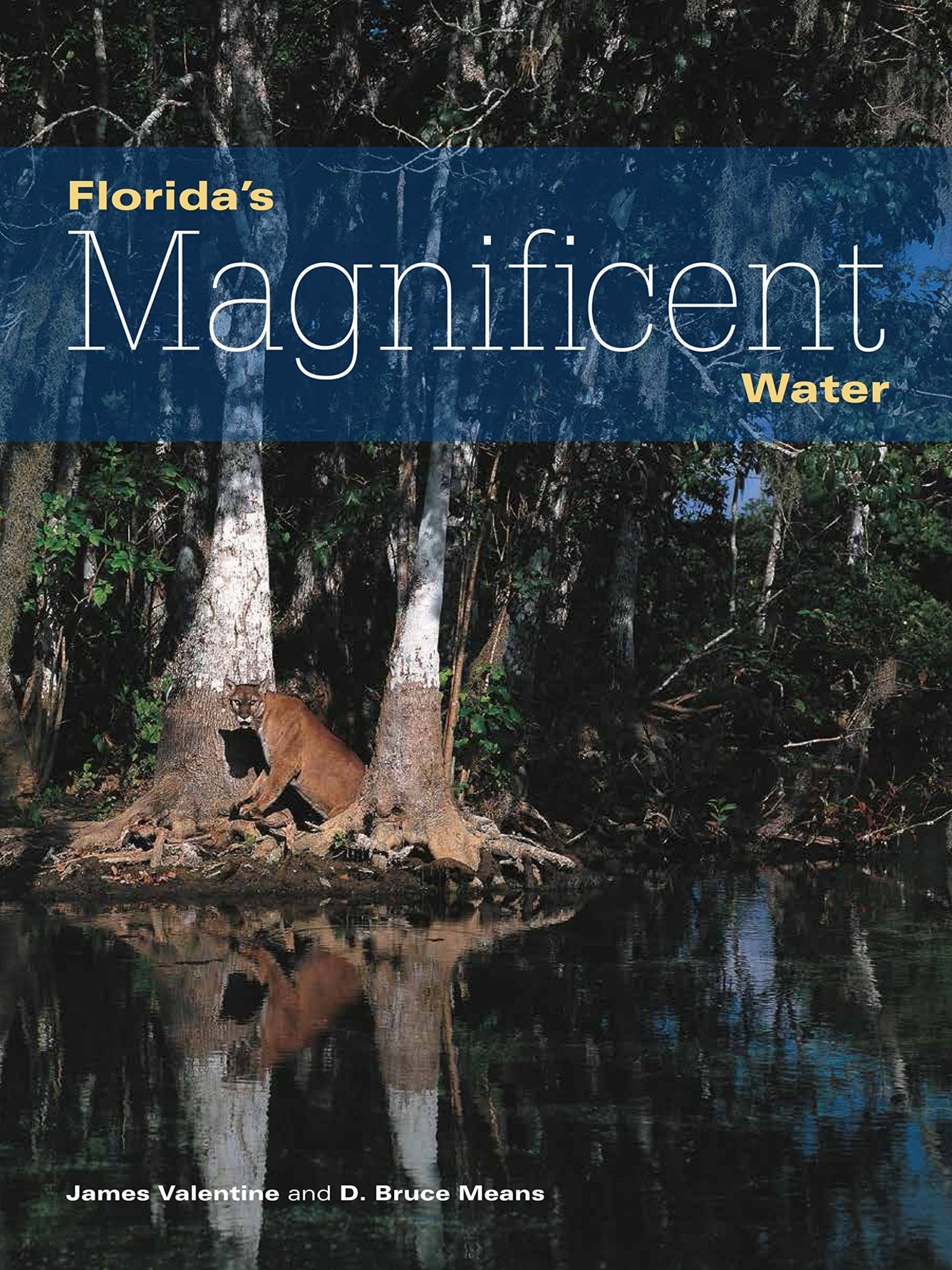 FL’sMagnificentWater – Sunburst Books